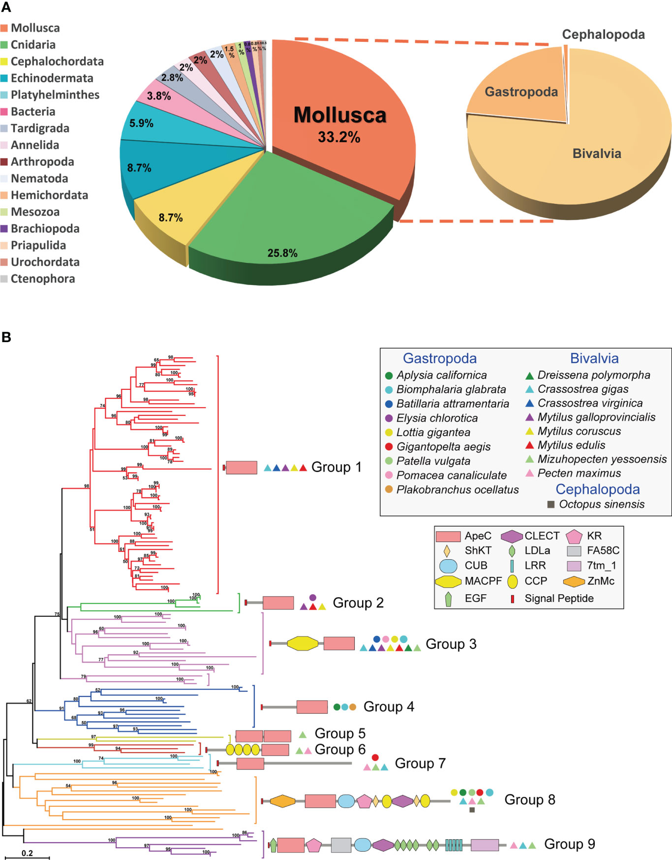 Two novel mollusk short-form ApeC-containing proteins act as pattern recognition proteins for ...