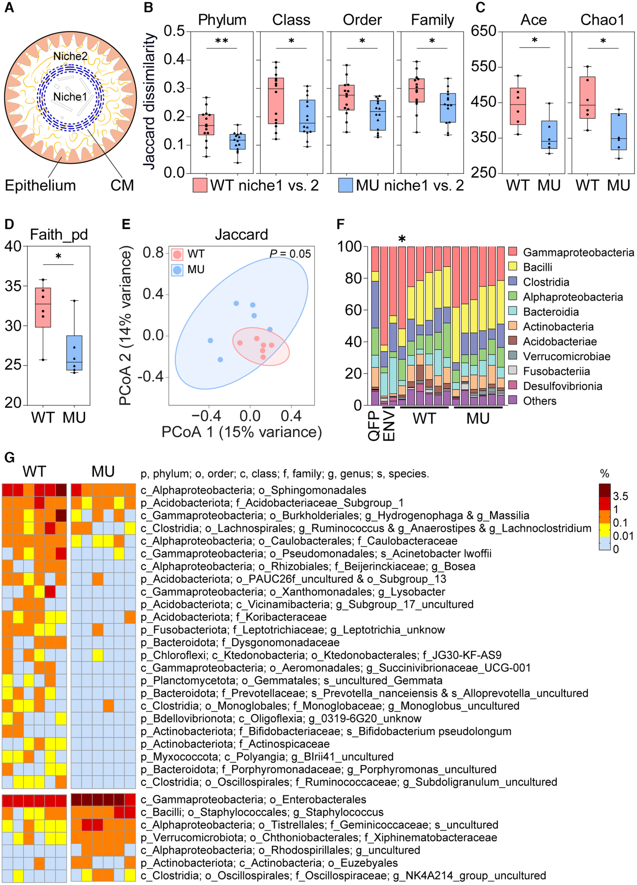 Differential roles of the fish chitinous membrane in gut barrier immunity and digestive ...